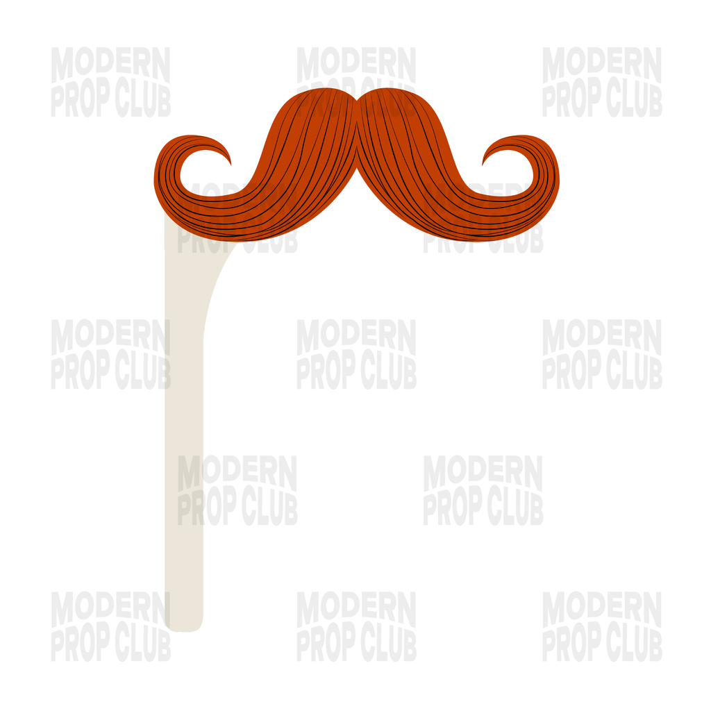 Double Sided Mustache Prop